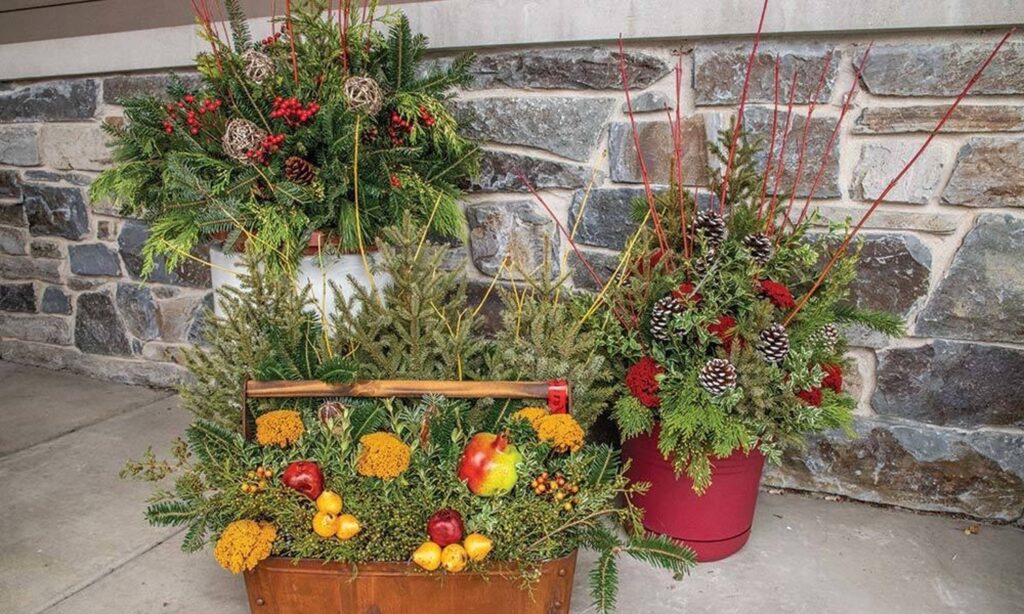 Winter Cut Greens Container - Lurvey Landscape Supply