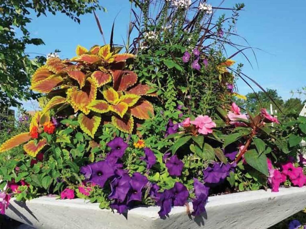 Create a Plant Container That Thrills, Fills, and Spills - Lurvey ...