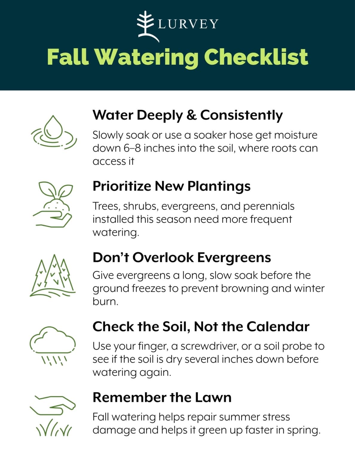 Why Fall Watering Is Essential for Plant Health - Lurvey Landscape Supply