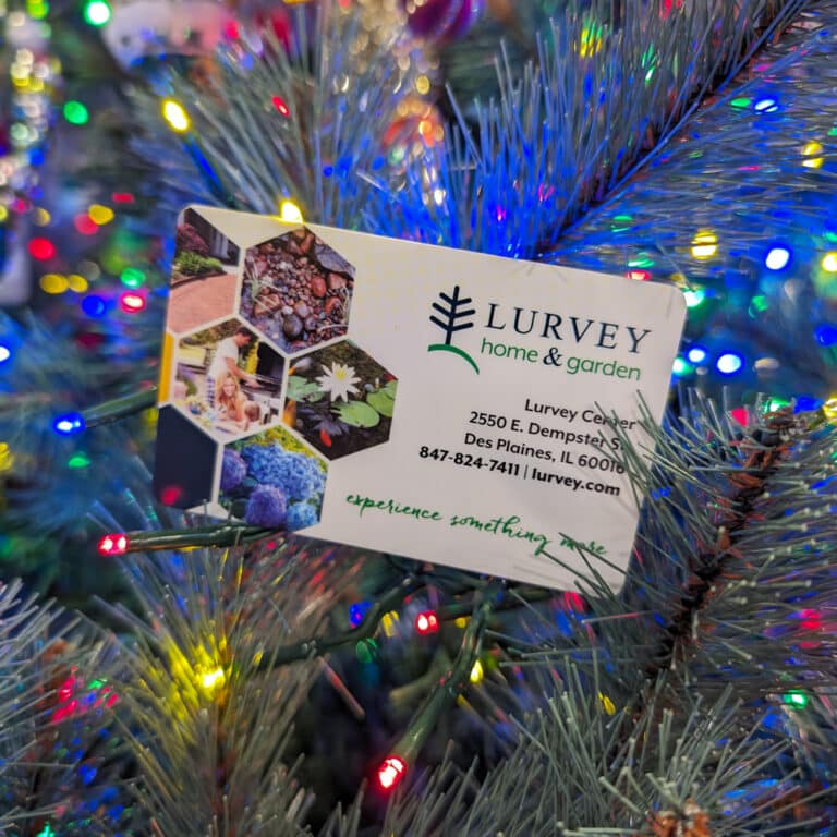 Gift Cards - Lurvey Landscape Supply