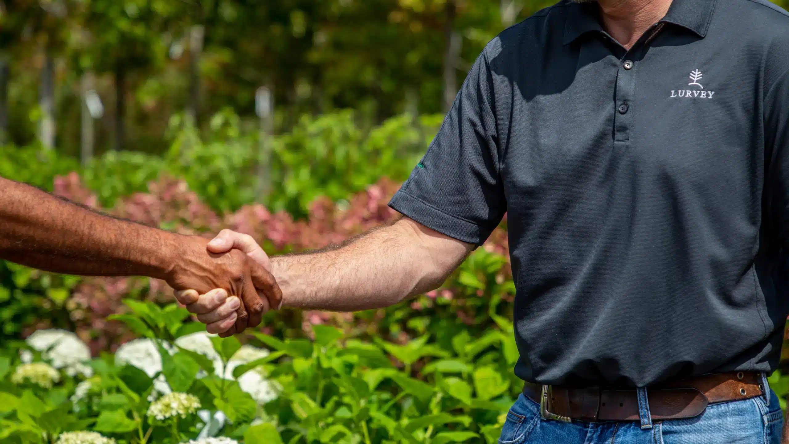 The Company We Keep - Lurvey Landscape Supply