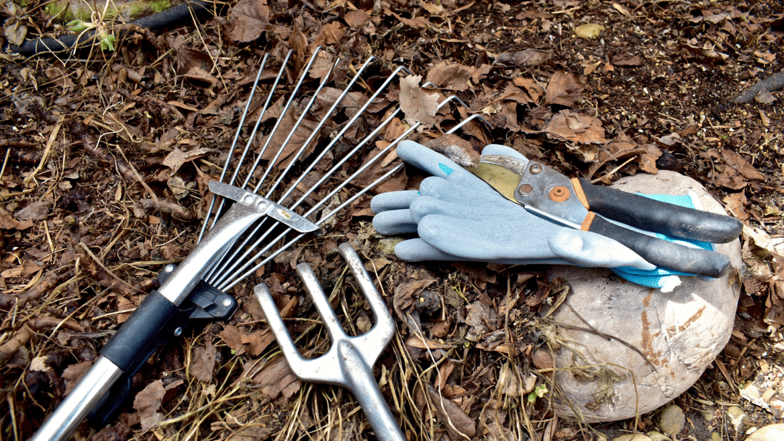 Spring Yard & Garden Prep for Plant Health - Lurvey