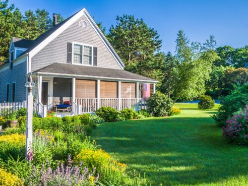 What’s ‘Bugging’ You? The Ultimate Guide to the Best Pest Control for ...